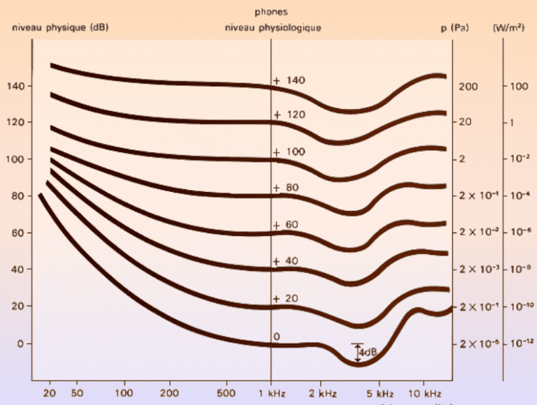 Qu'est ce que le Loudness ? - Introduction - One Tribe Studio